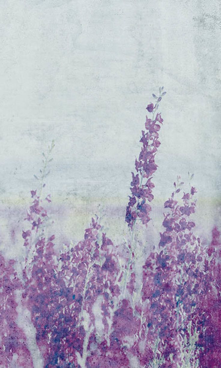 LAVENDER – Blue Pearl Bali