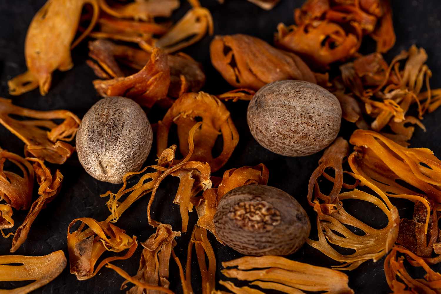 NUTMEG – Blue Pearl Bali